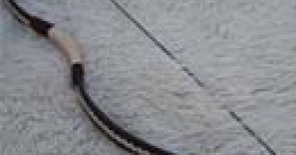 Scythian traditional recurve bow